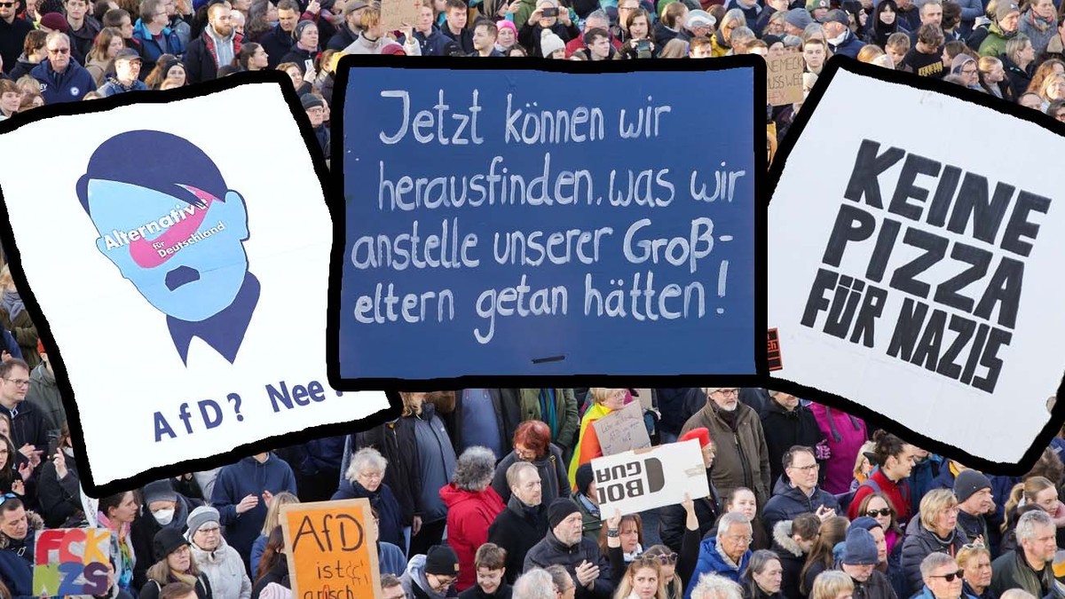 Die kreativsten Anti-AFD Schilder