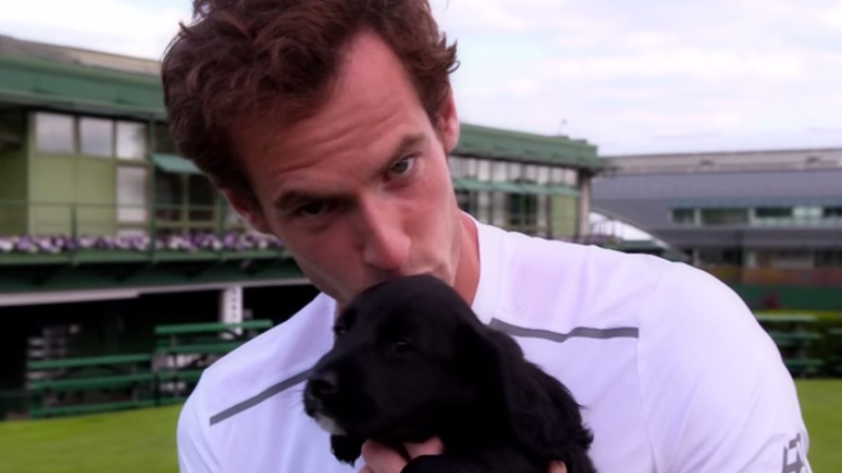 Solide Vorbereitung: Andy Murray tollt mit 5 Polizeihund-Babys über den ...