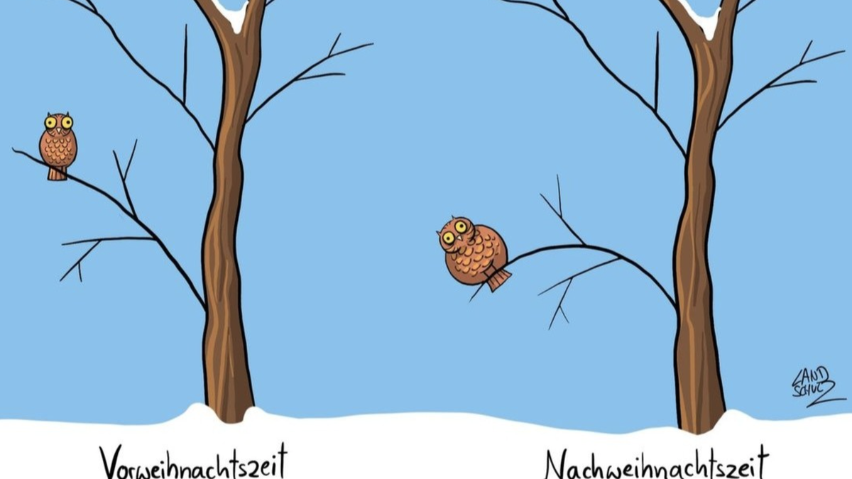 23 Karikaturen und Comics, die Weihnachten 2023 auf den Punkt bringen