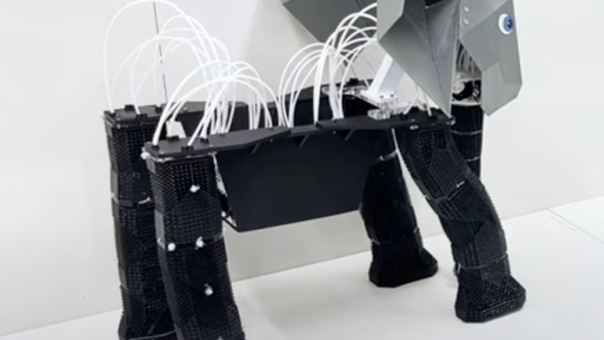 Bokep sotwe king for those who appreciate to have