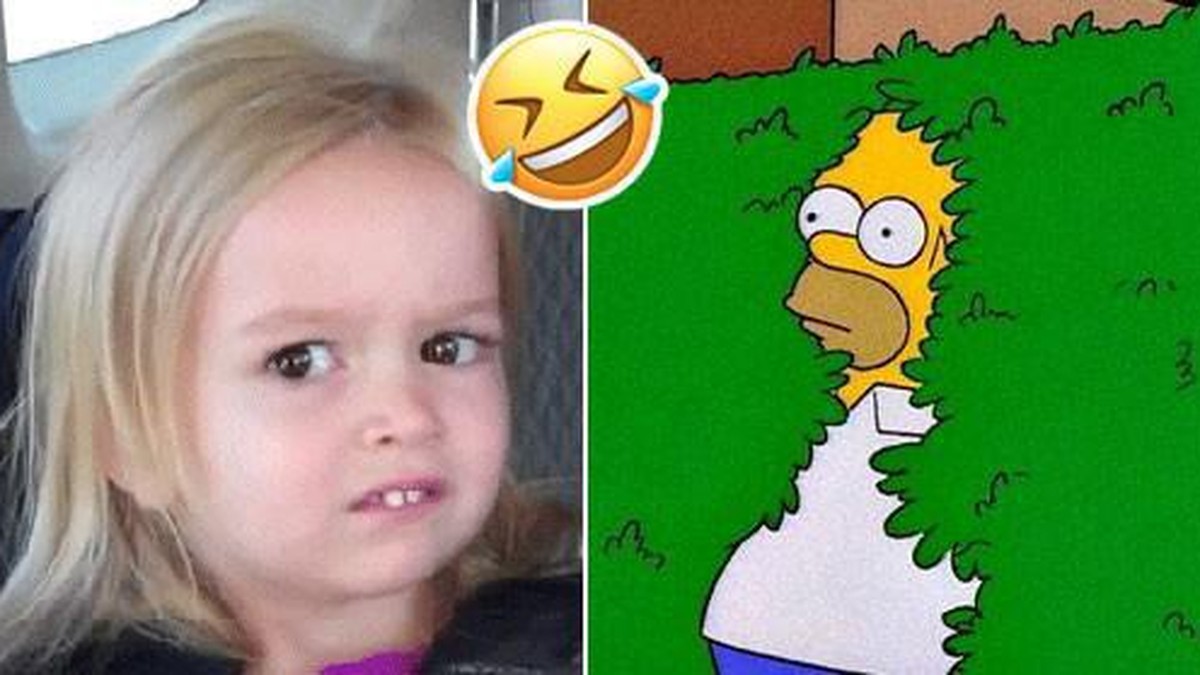 Die besten und lustigsten Gifs der Welt