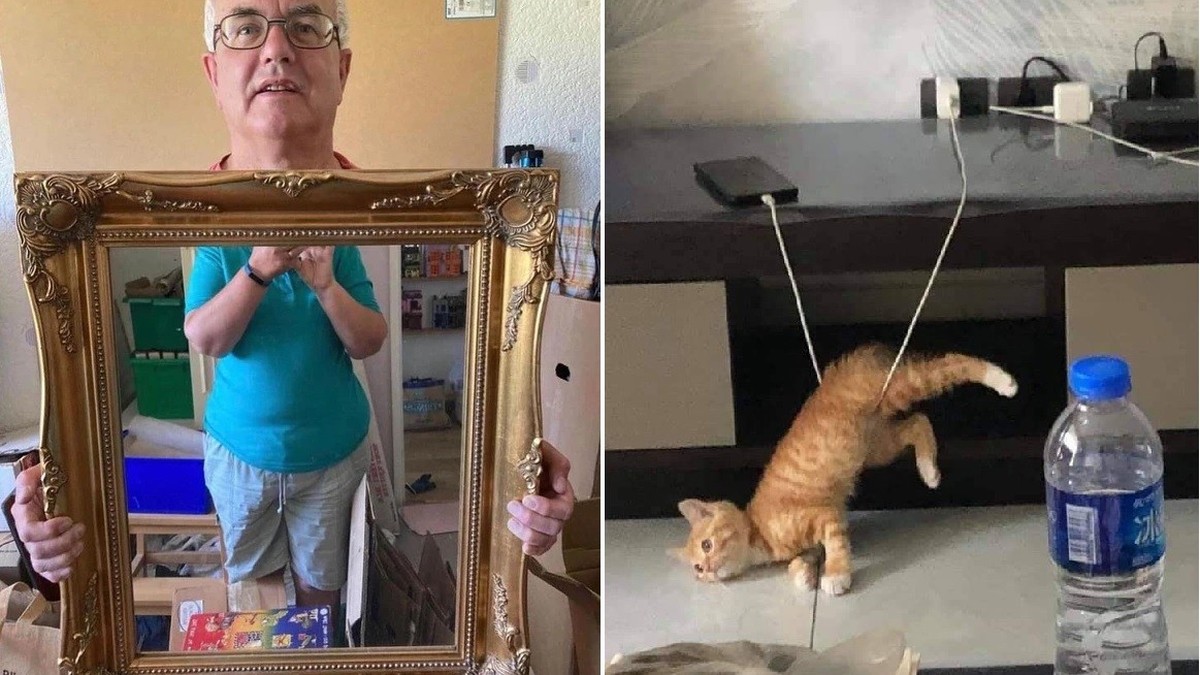 Langeweile? Hier sind die lustigsten Bilder und GIFs der Woche
