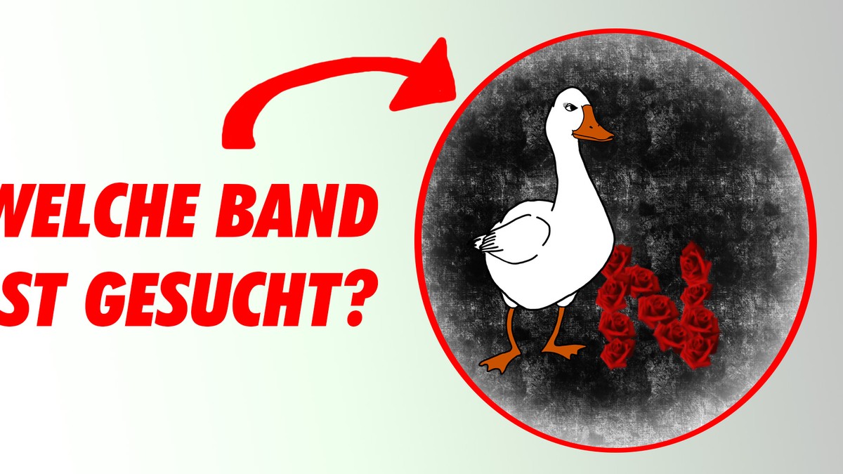 Rebus-Quiz: Welche Bands suchen wir in diesen Bilderrätseln?